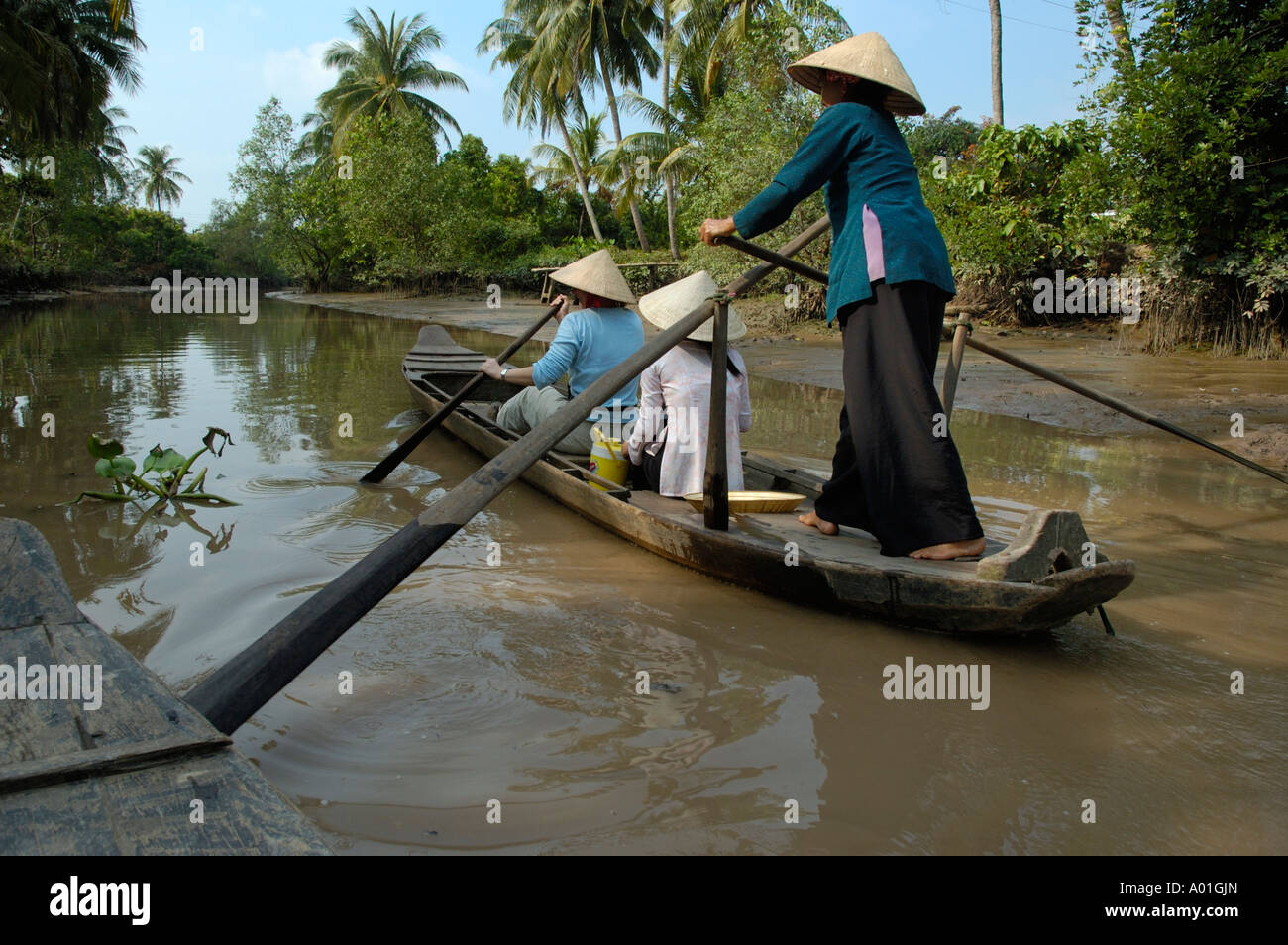 Rowing a traditional boat between islands in the Mekong delta , Vietnam ...