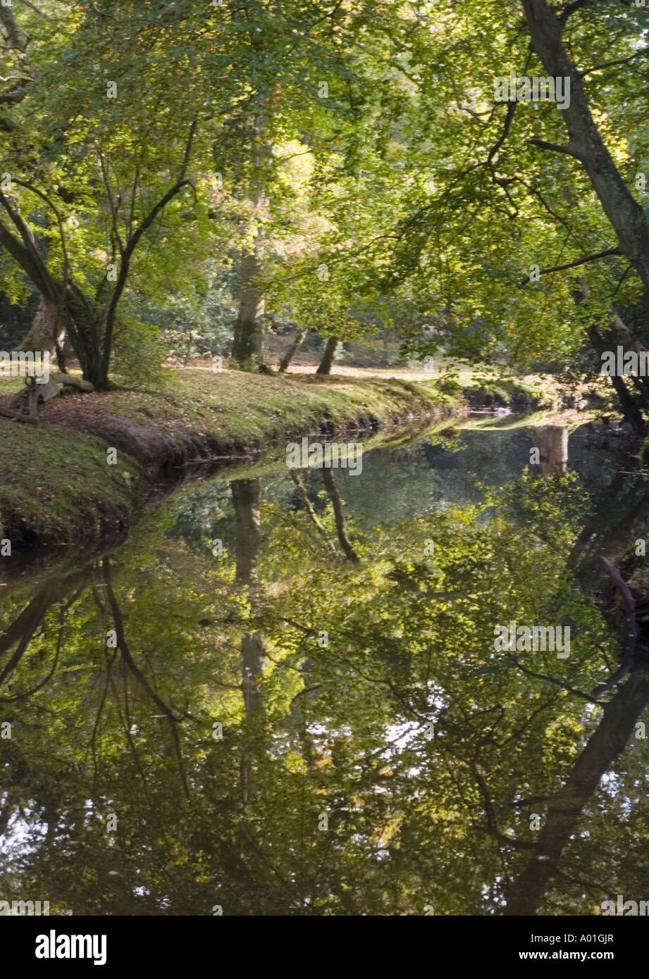 Beaulieu river new forest hi-res stock photography and images - Alamy