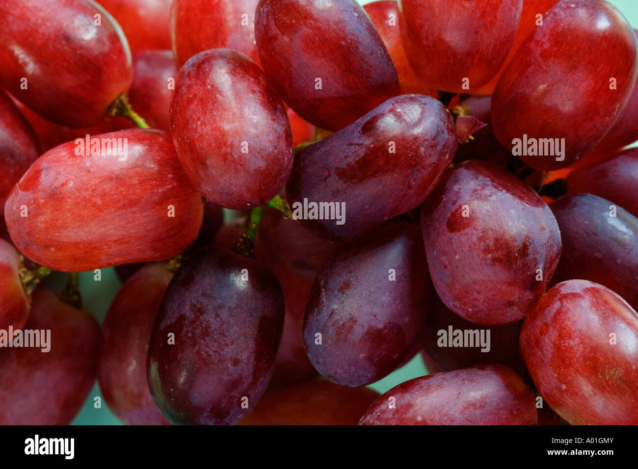 Punnet of grapes hi-res stock photography and images - Alamy