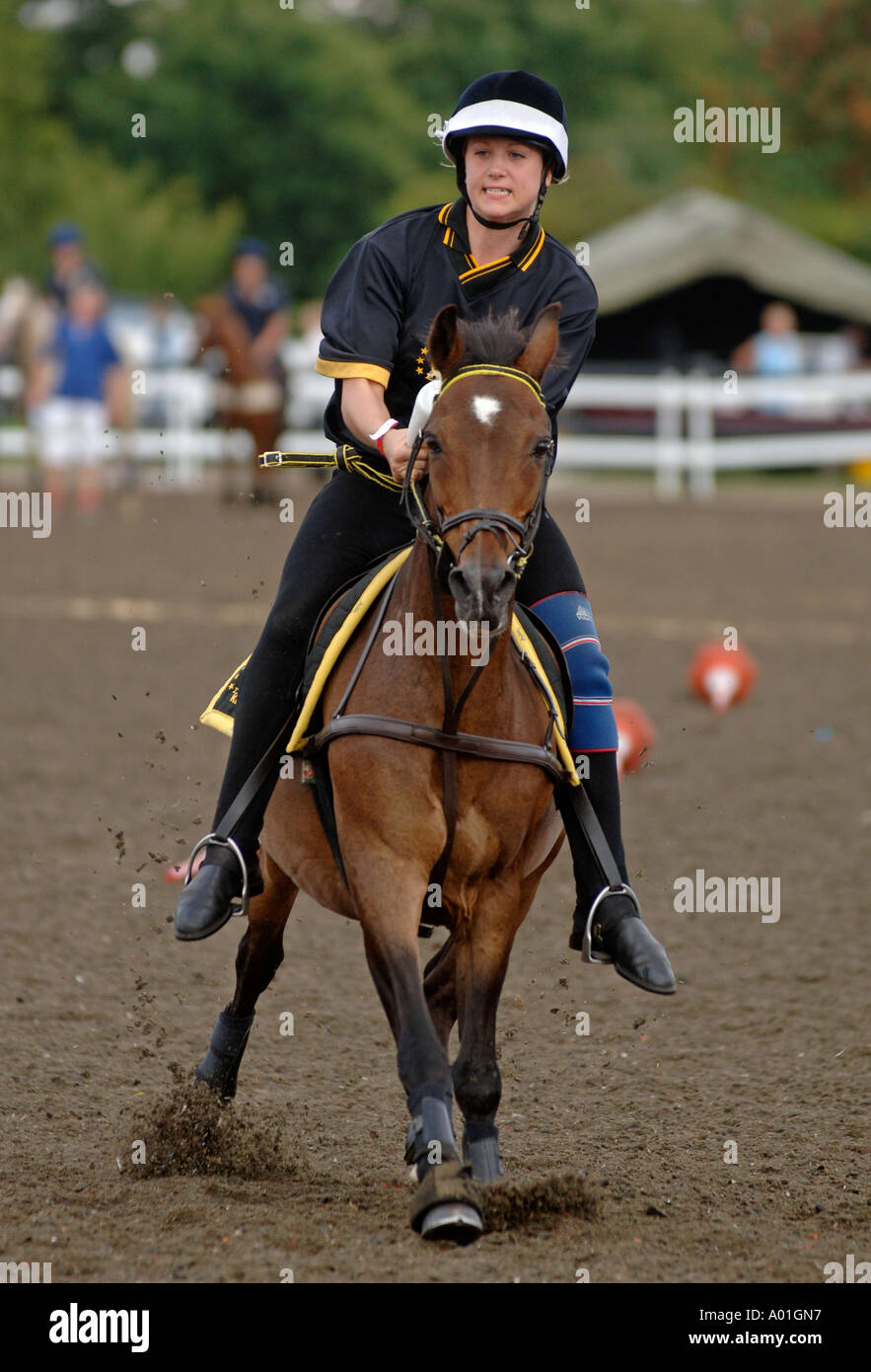 Mounted Games at the Town and Country Festival in Stoneleigh, Coventry ...