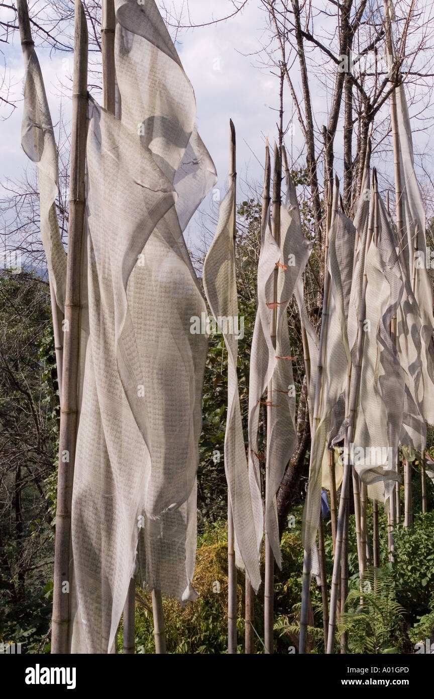 A row of white tall prayer flags on poles Enchey monastery Gangtok ...