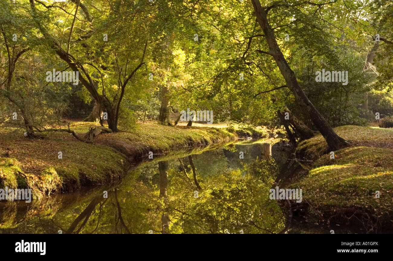 Beaulieu River Scene, The New Forest National Park, Hampshire, UK Stock ...