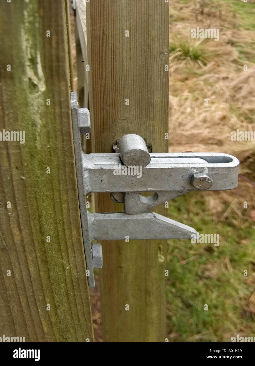 gate with lock Stock Photo - Alamy
