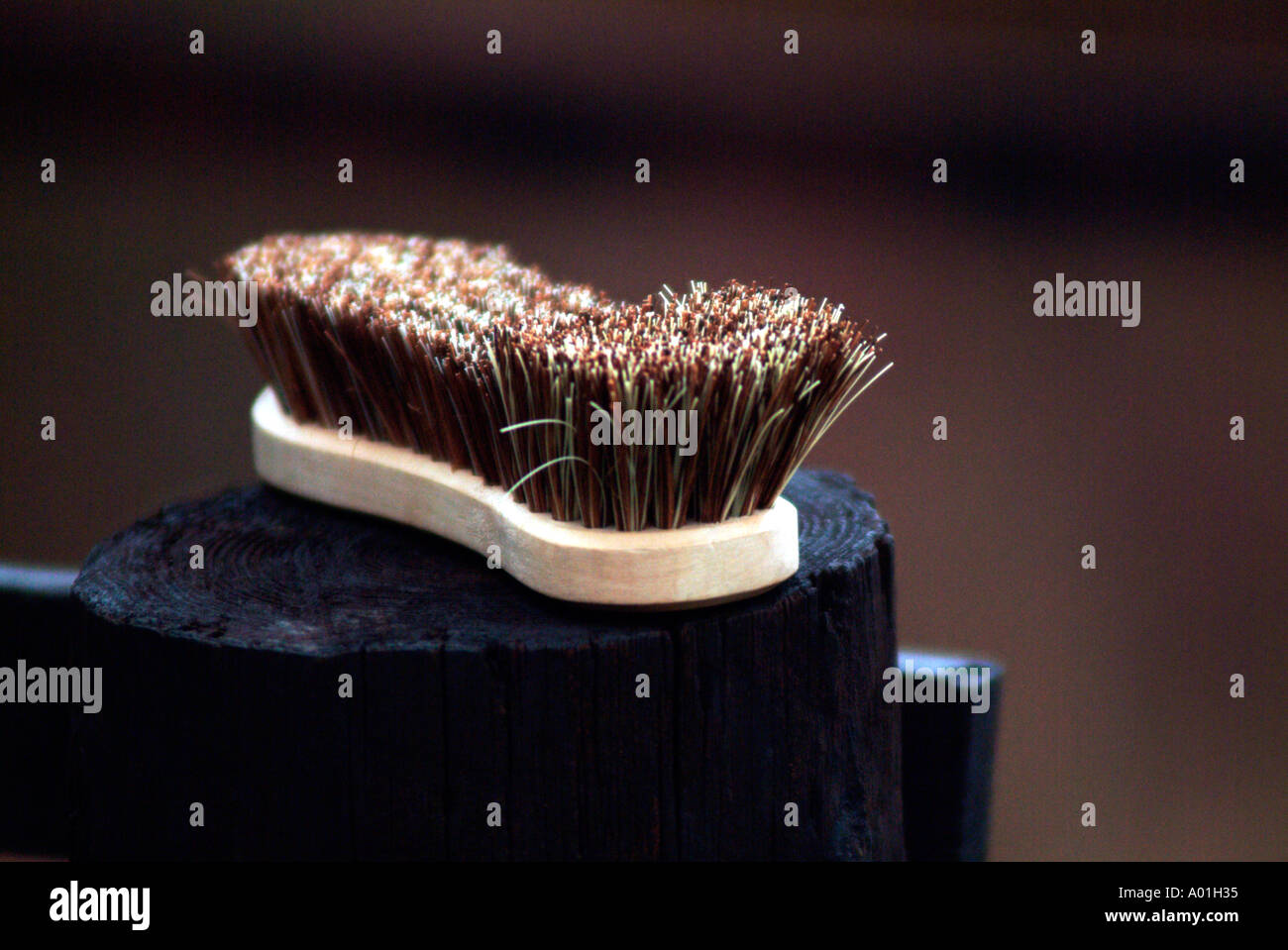 Bristling brush hi-res stock photography and images - Alamy