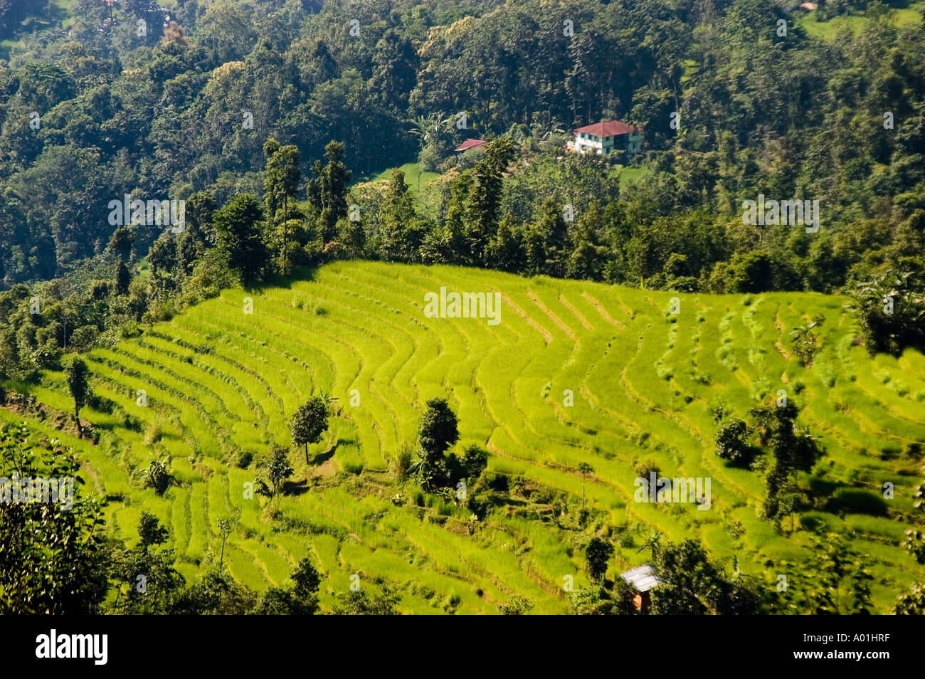 Scenic hill station of kalimpong hi-res stock photography and images ...