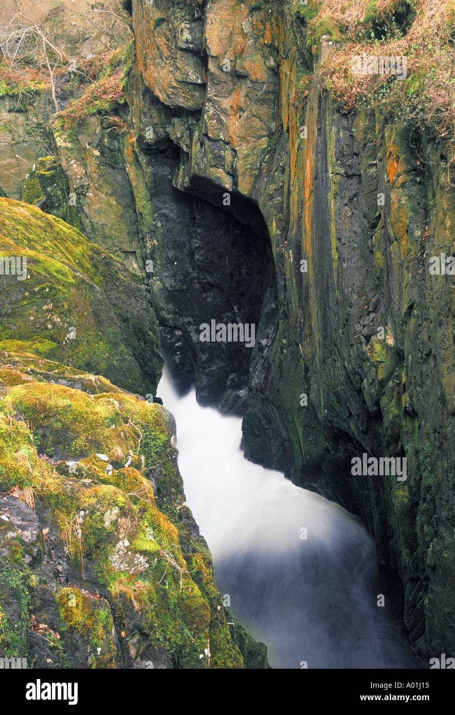 england north YORKSHIRE DALES national park ingleton gorge and glen ...