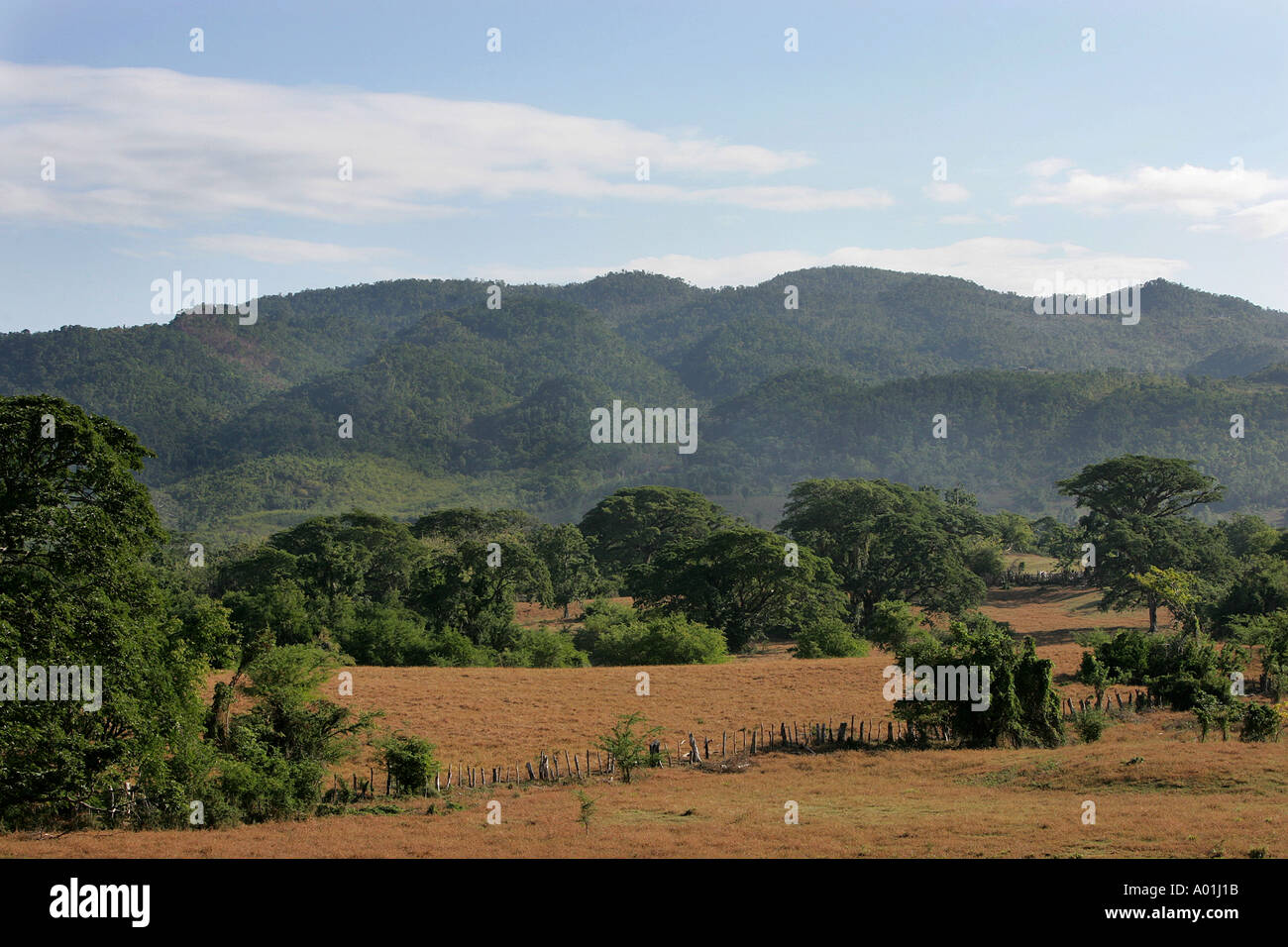 Mountains fields landscape, Jamaica Stock Photo - Alamy