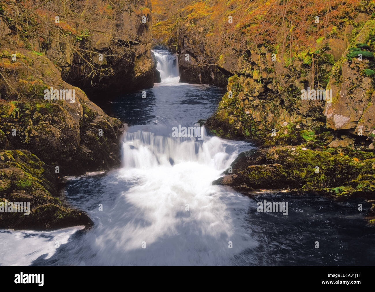 england north YORKSHIRE DALES national park ingleton gorge and glen ...