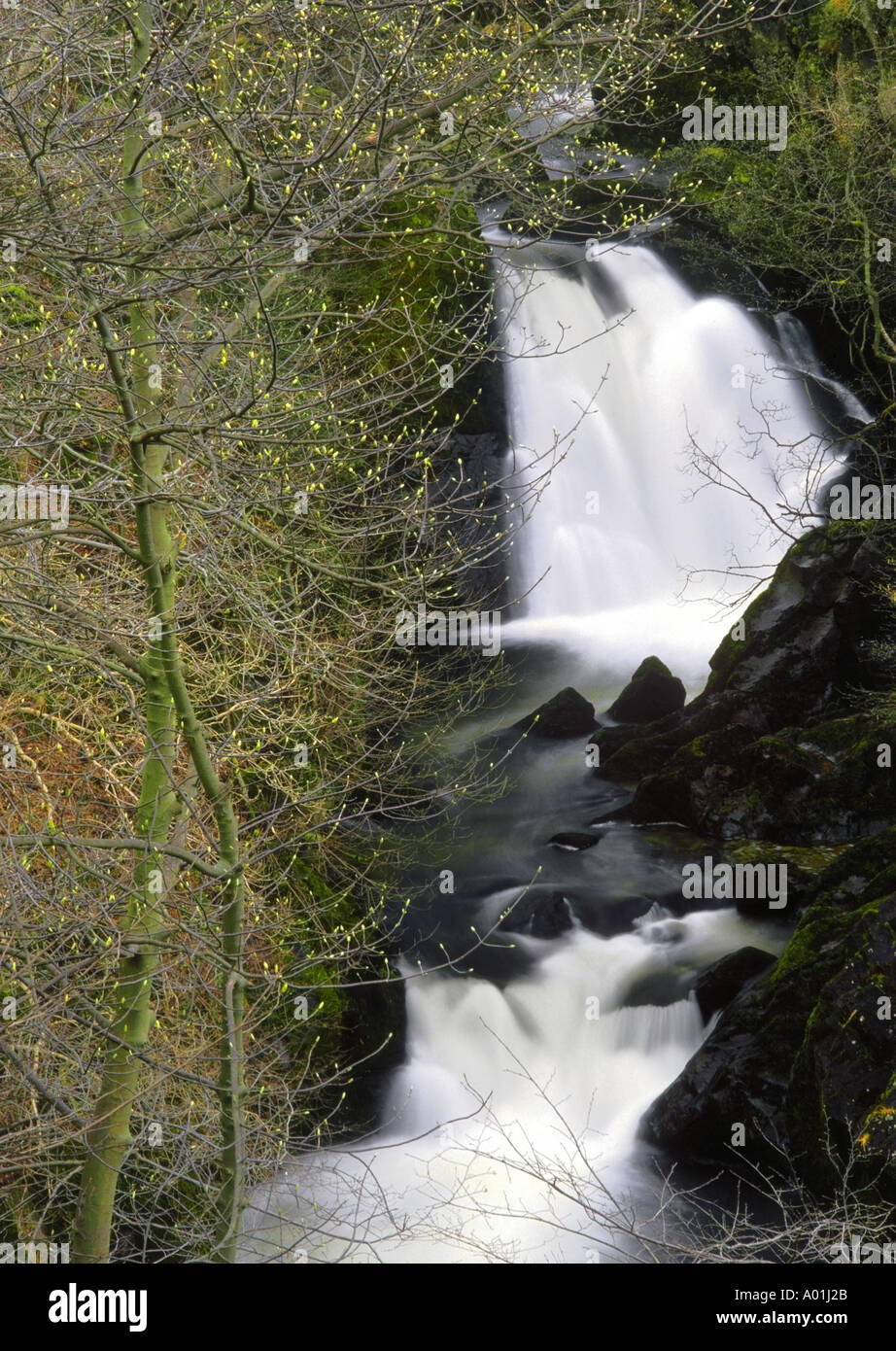 england north YORKSHIRE DALES national park ingleton gorge and glen ...