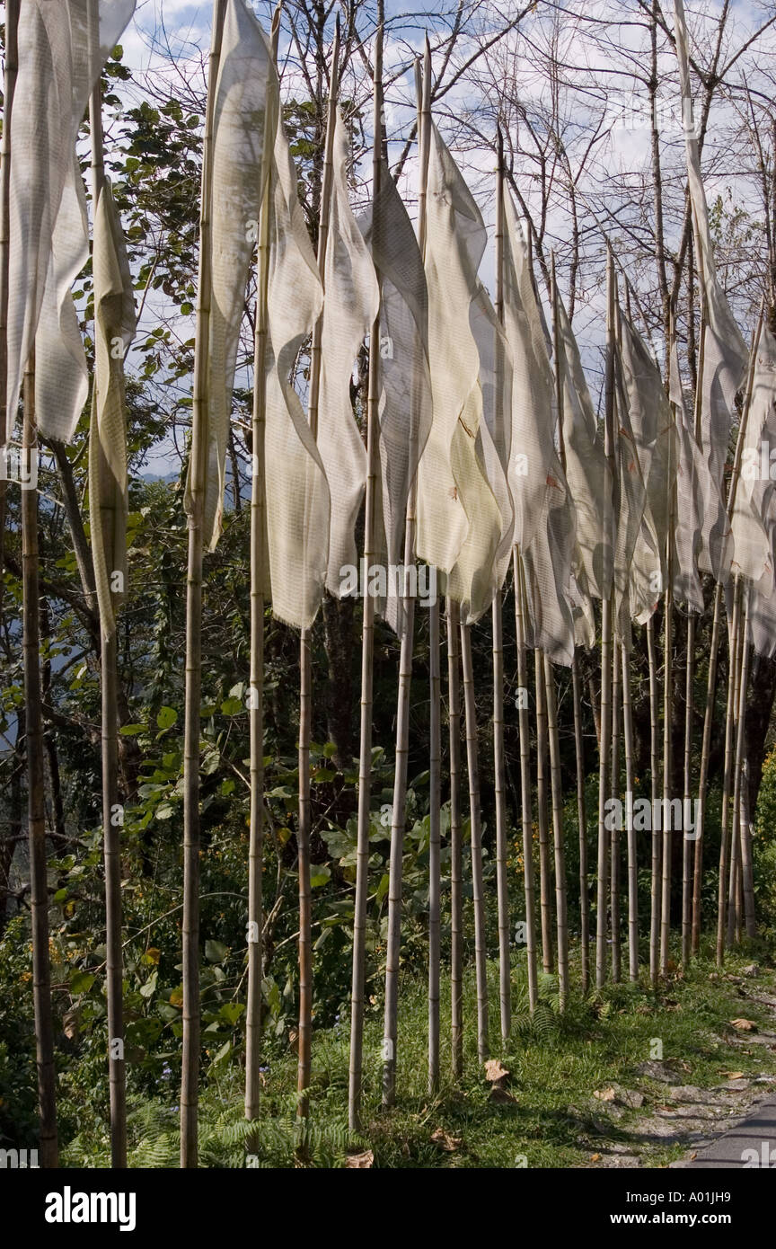 A row of white tall prayer flags on poles Enchey monastery Gangtok ...