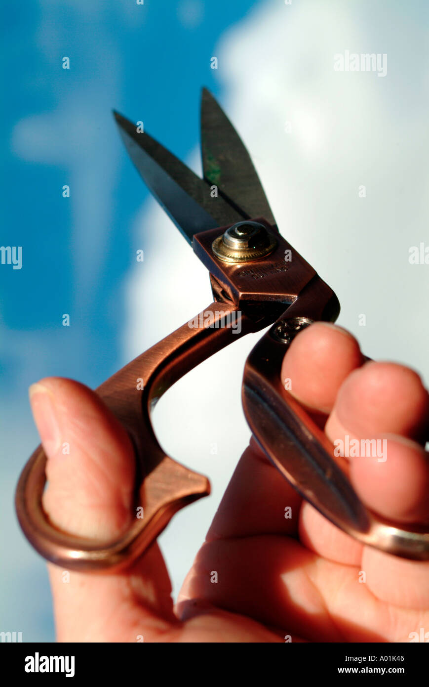 Hand holding pair scissors hi-res stock photography and images - Alamy