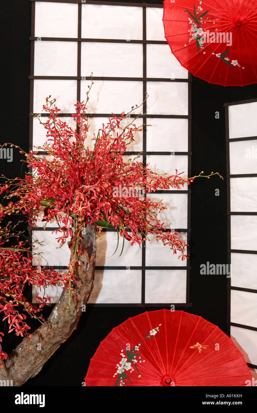 Japanese style floral arrangement still life, detail Stock Photo - Alamy