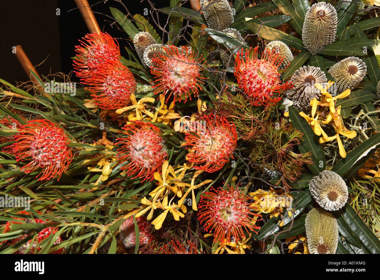 Orchids and native Australian wildflowers, floral arrangement, detail ...