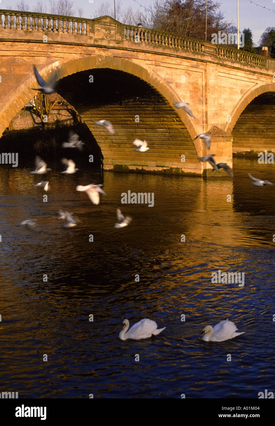 Arley village worcestershire bridge hi-res stock photography and images ...