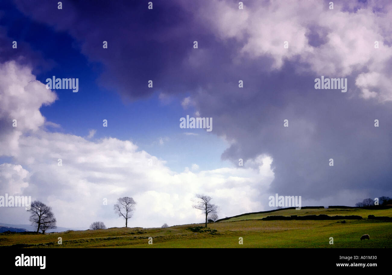 england cumbria lake district national park sky trees on skyline Stock ...