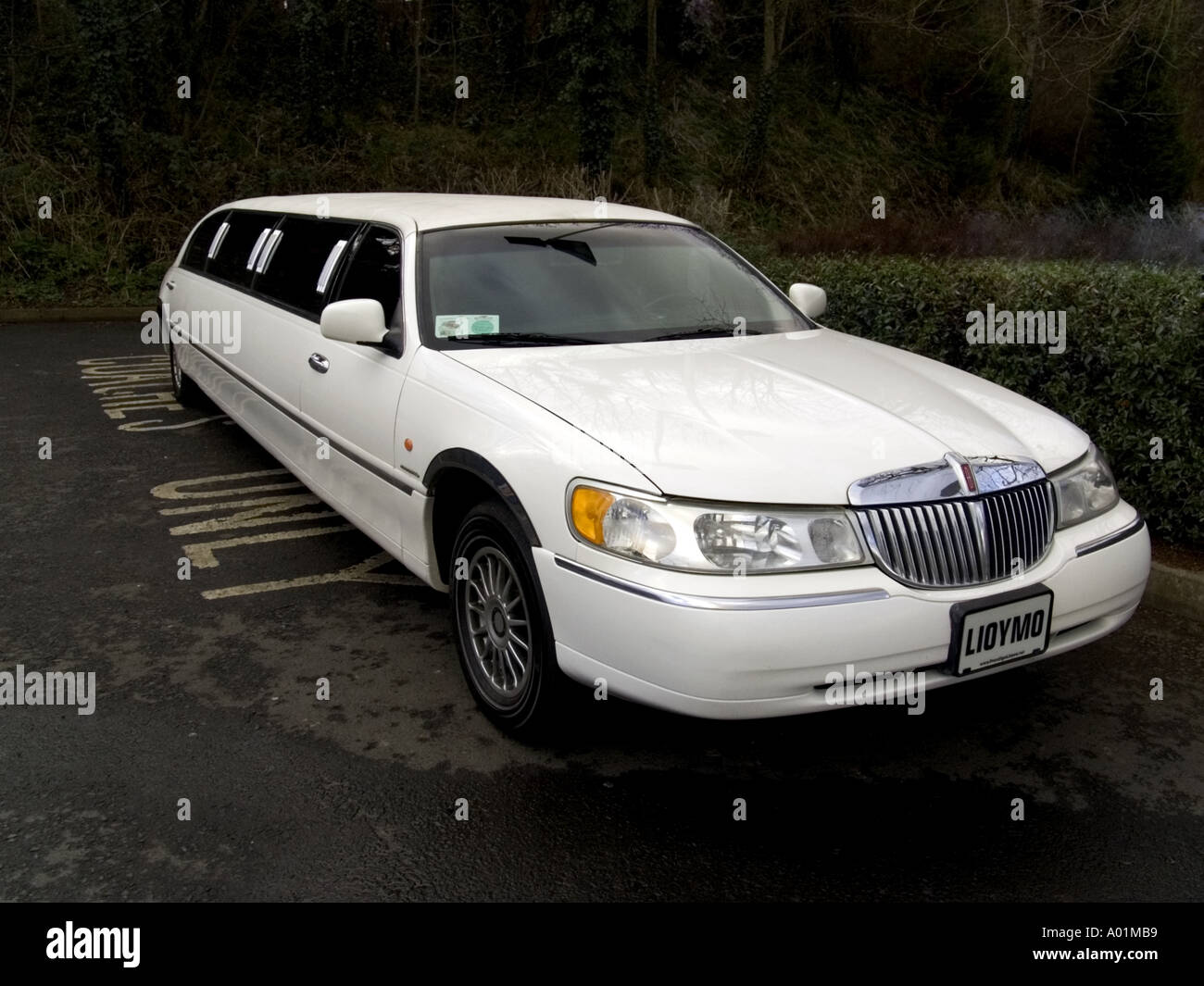 stretch limo limousine Stock Photo - Alamy