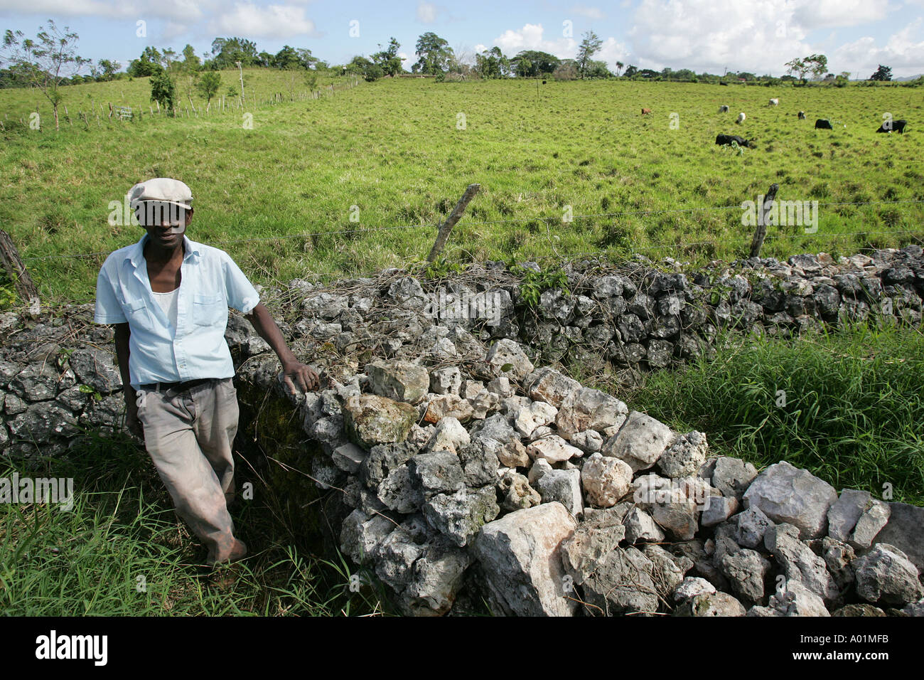 Rural jamaica farm hi-res stock photography and images - Alamy