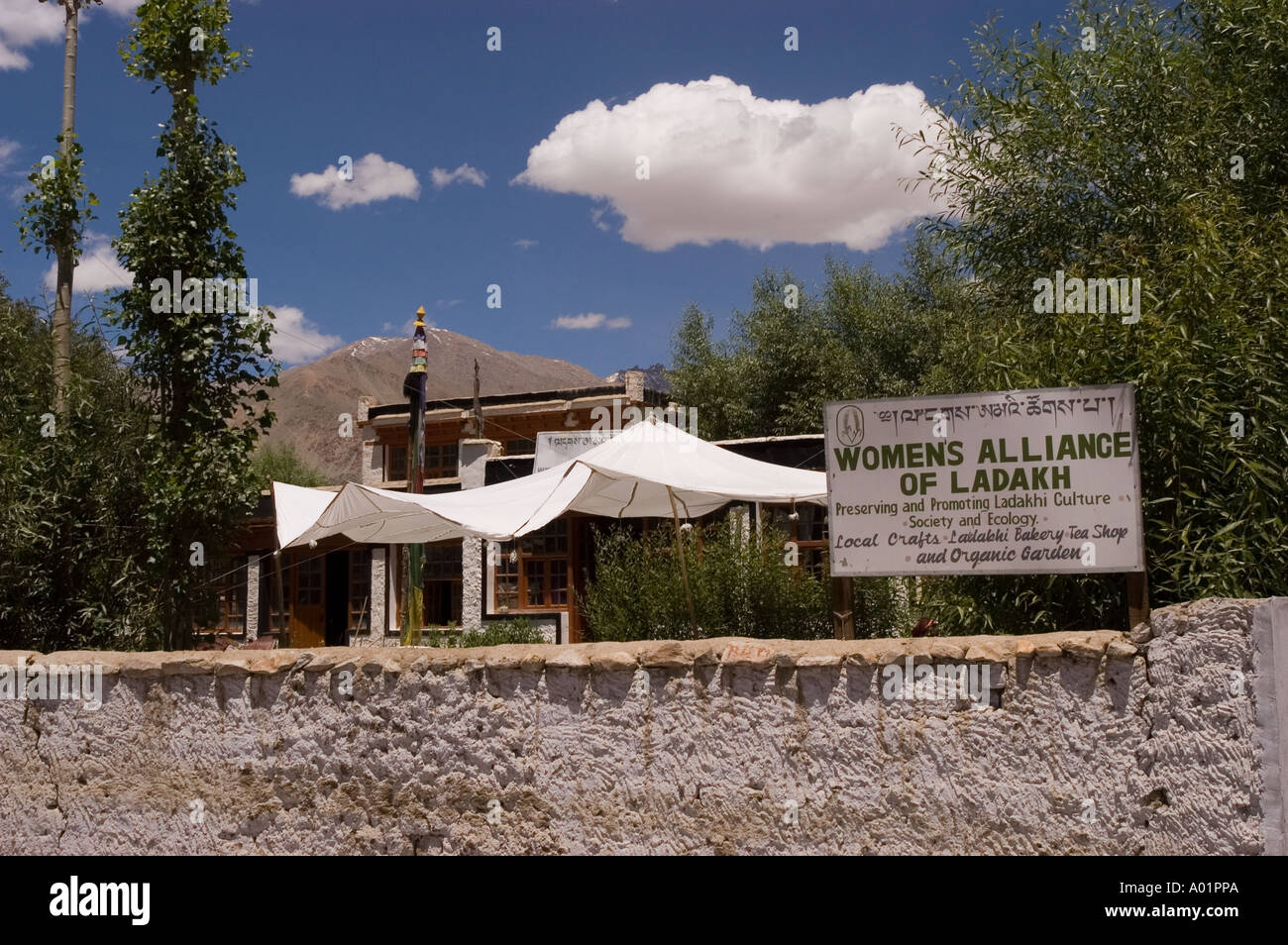 Women Alliance of Ladakh Leh India Stock Photo - Alamy