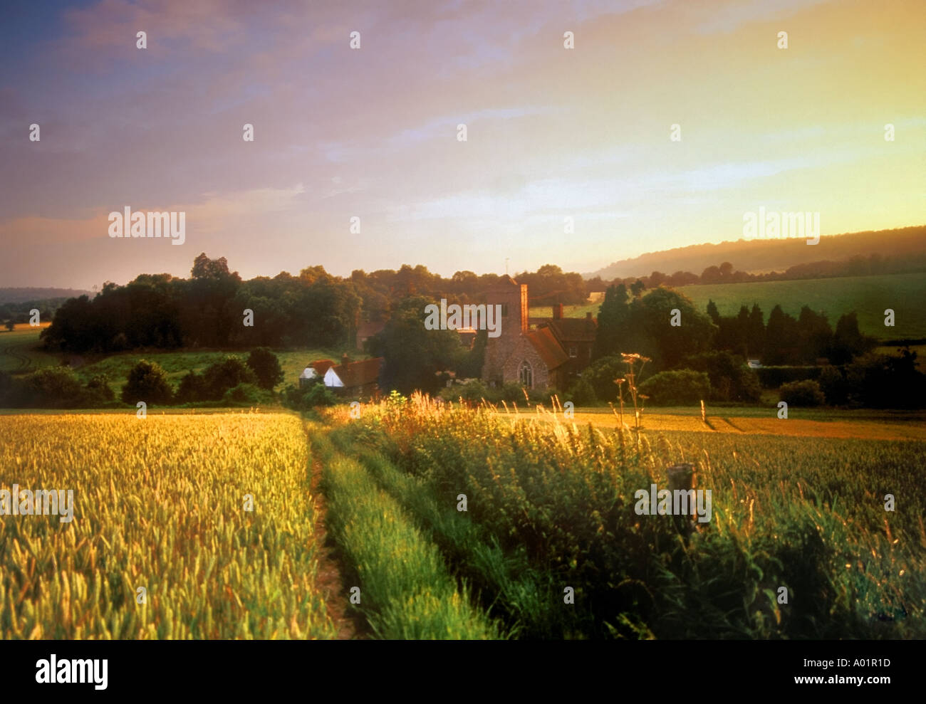 The pilgrims way kent hi-res stock photography and images - Alamy