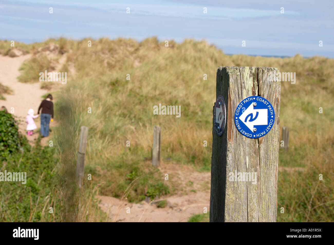 Coast path sign on wooden post in sand dune setting with mother and ...