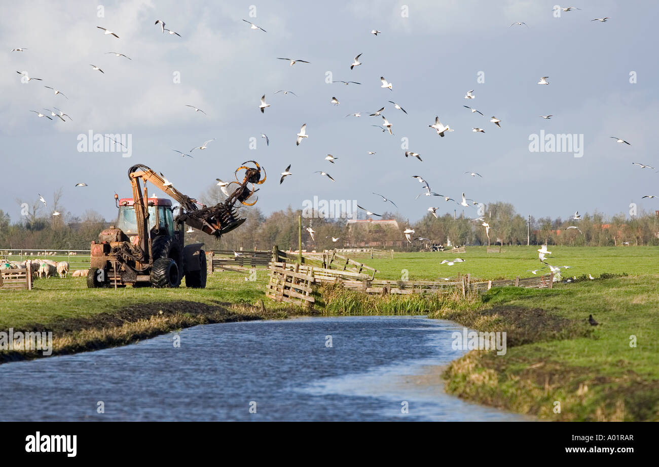 Tractor digging out a waterway, farming in Southern-Holland, The ...