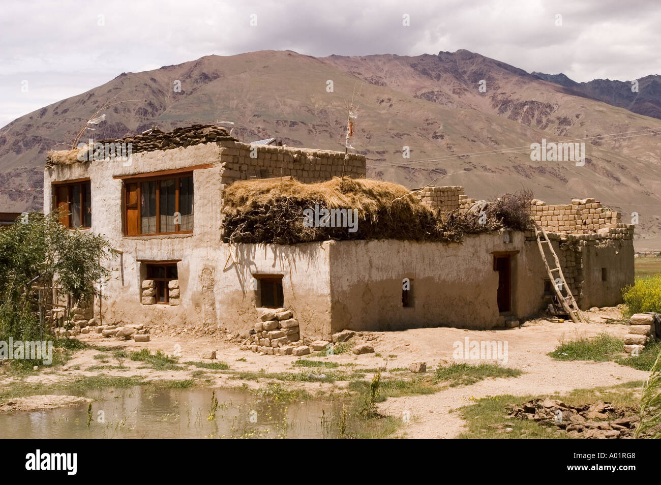 Traditional house in Zanskar valley Ladakh India Stock Photo - Alamy