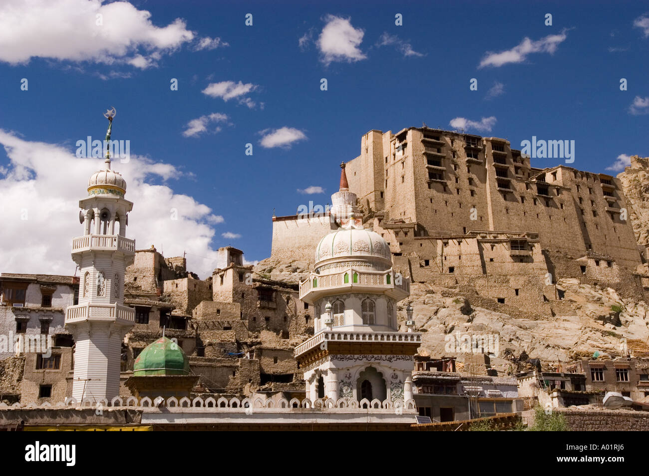 Turko Iranian architecture Jama Masjid sunni mosque with buddhist ...