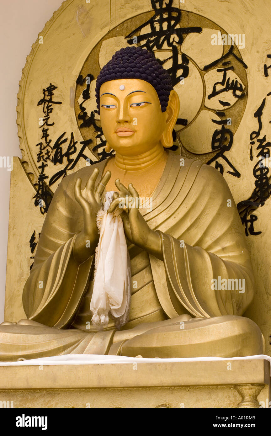 Japanese style golden Buddha hand mudra of teaching on Shanti Stupa or ...