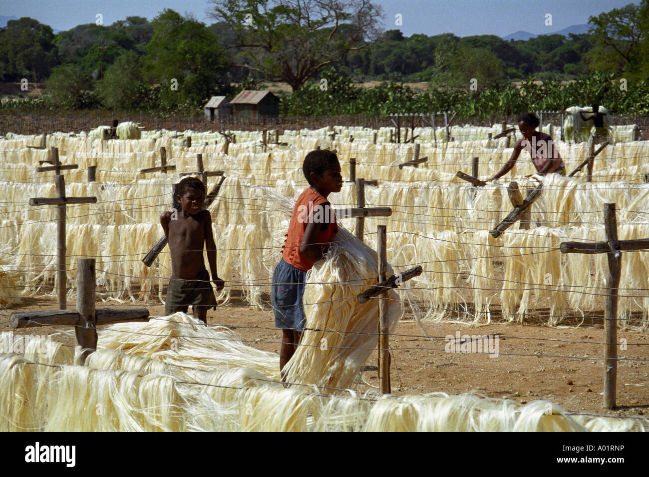 Black boys hard labor hi-res stock photography and images - Alamy