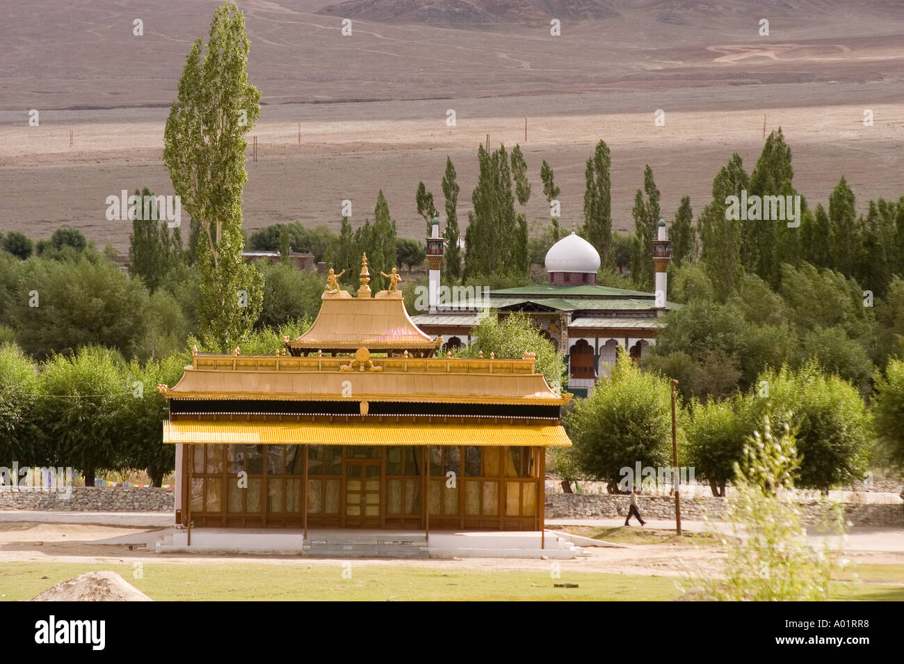 Summer residence of Dalai Lama with Sunni Mosque in background in ...