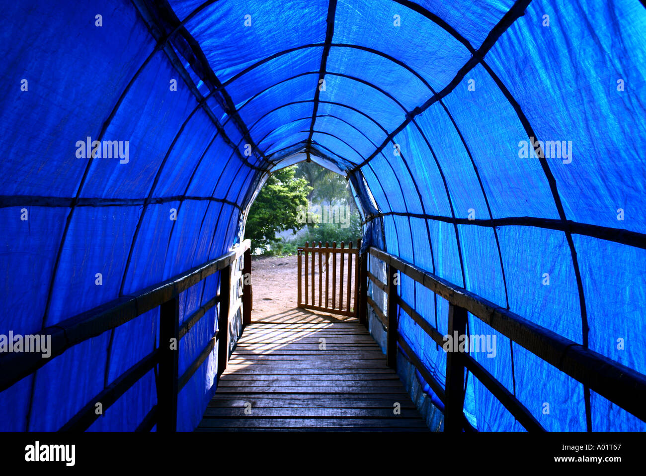 RSC0308 Blue plastic tunnel path for monsoon rain protection Stock ...