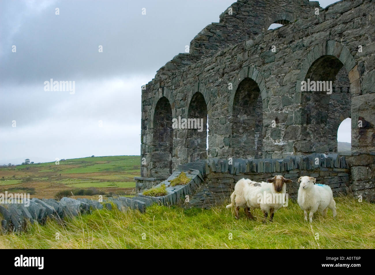 Wool mill wales hi-res stock photography and images - Alamy
