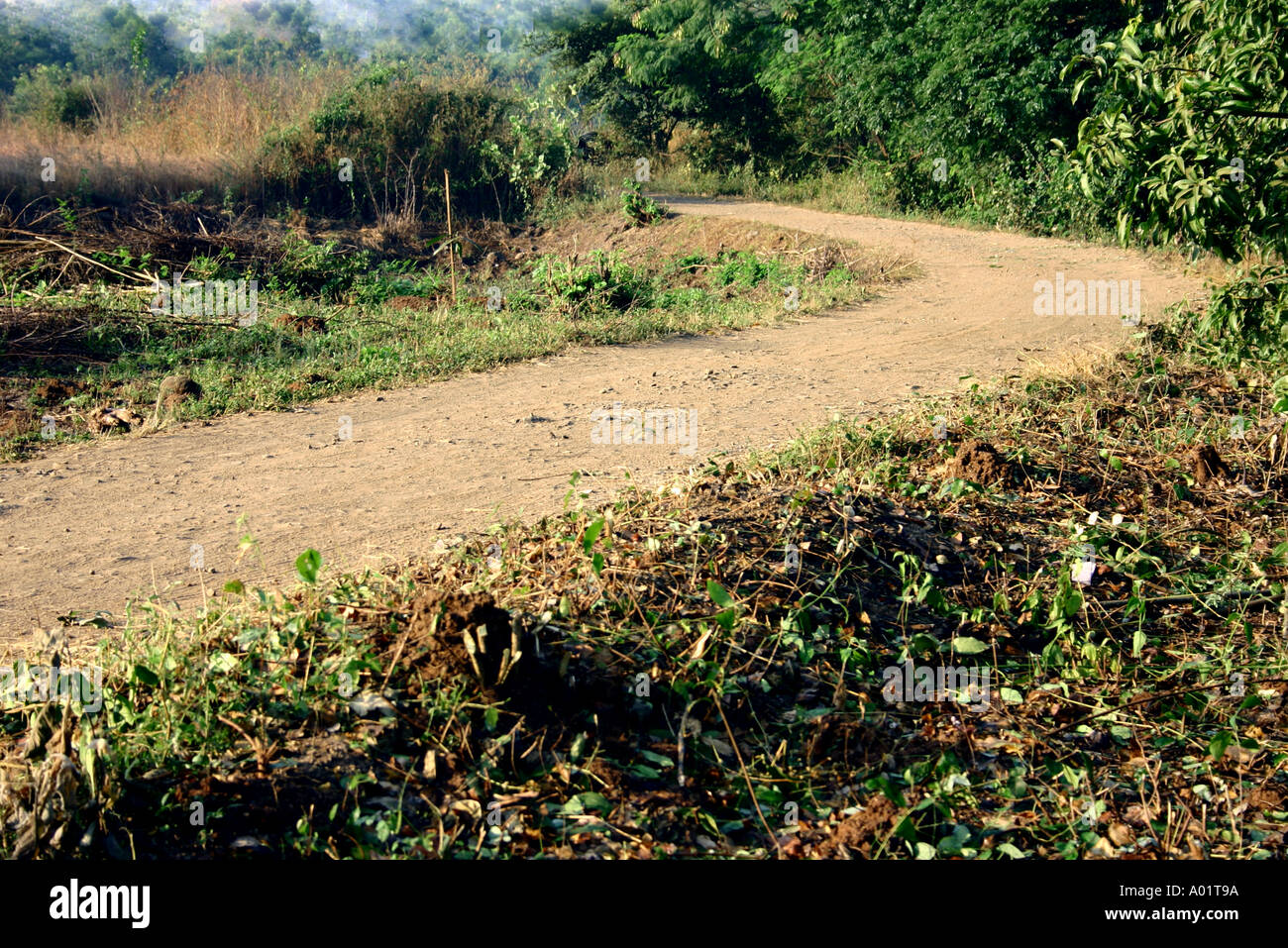 Rsc0296 hi-res stock photography and images - Alamy