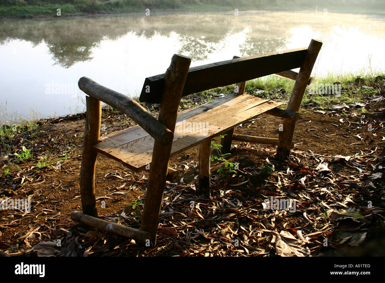 One woodden bench below trees at edge of lake or pond Stock Photo - Alamy