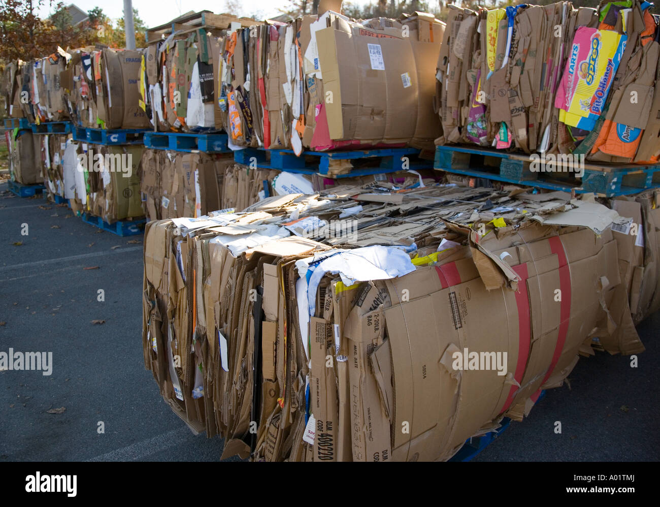 Cardboard ready to be recycled Stock Photo - Alamy