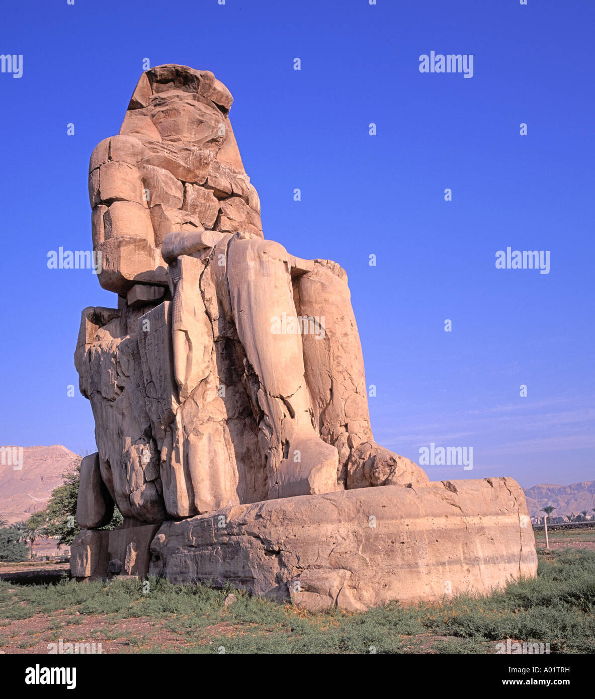 Memnon Colossus Luxor Egypt Stock Photo - Alamy