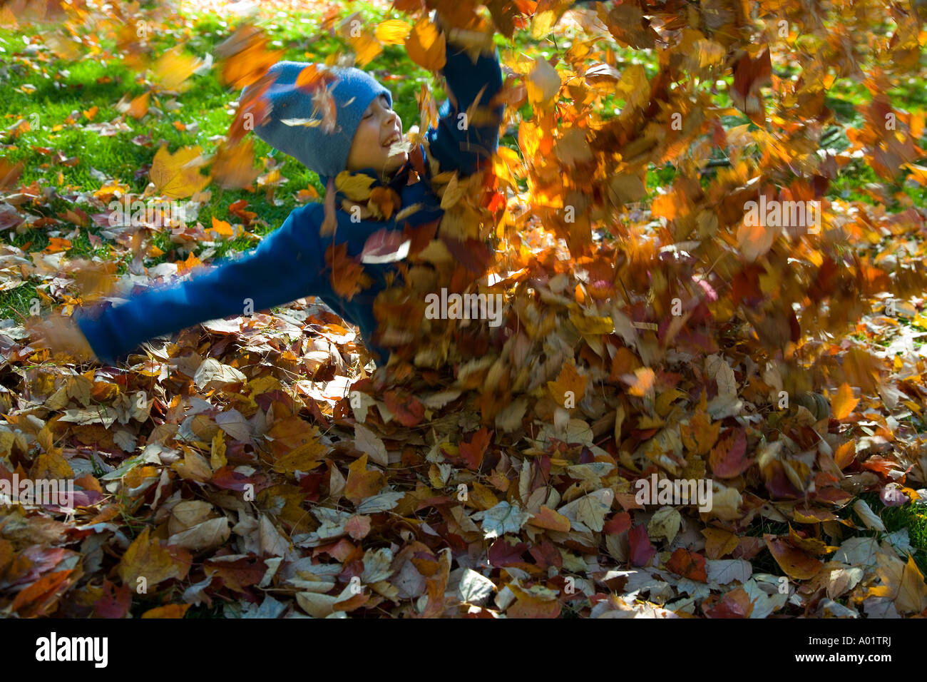 Year old girl throwing leaves hi-res stock photography and images - Alamy