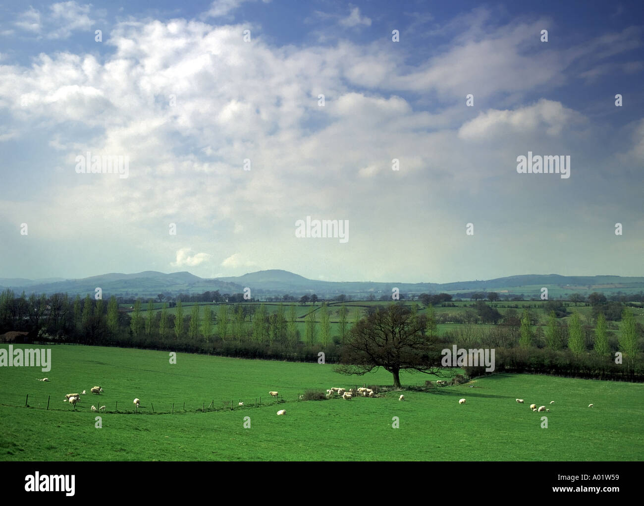 Apedale hi-res stock photography and images - Alamy