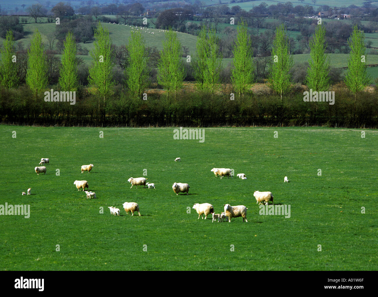 england midlands SHROPSHIRE view of apedale from wenlock edge Stock ...