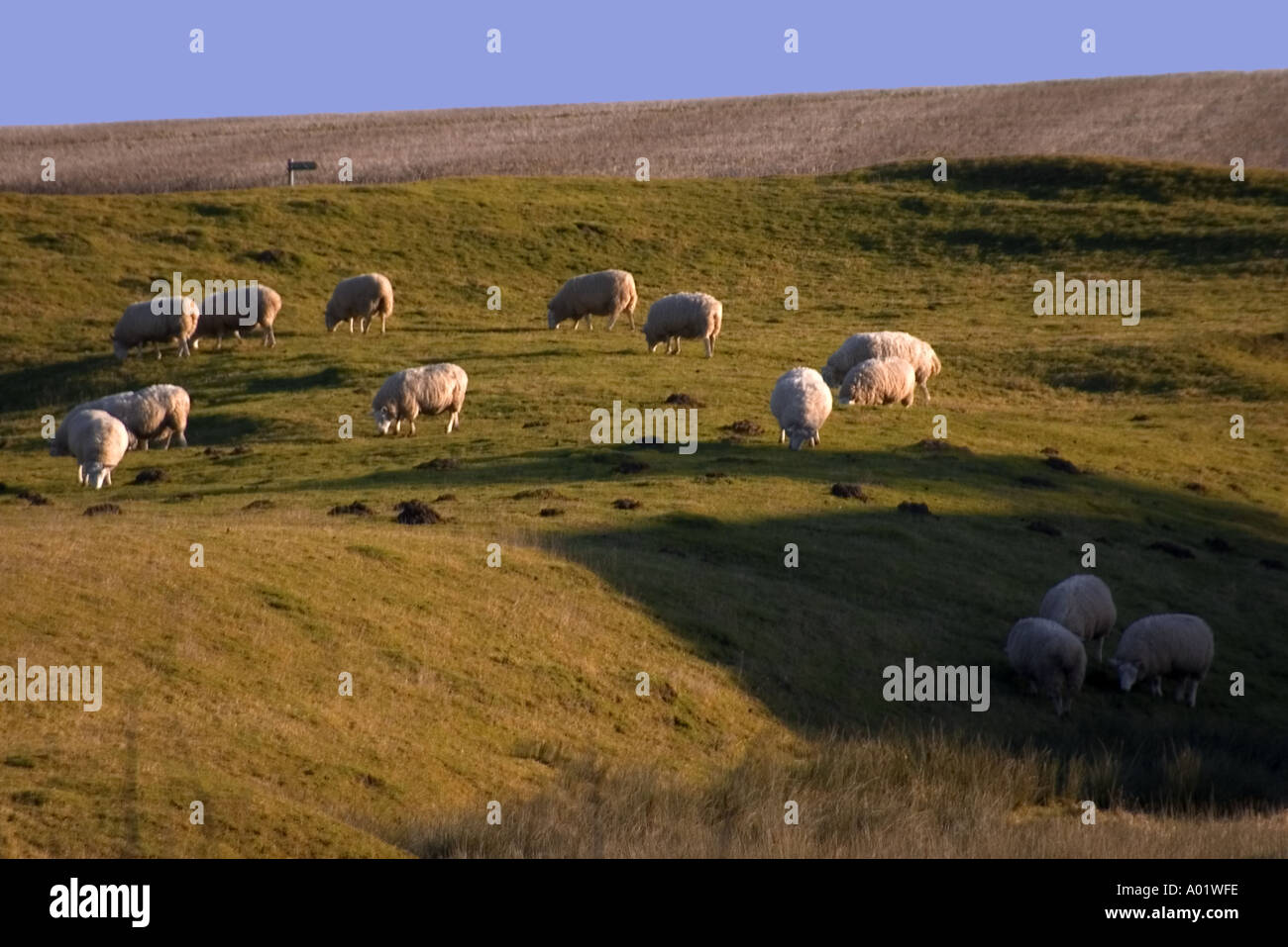 Yielden castle hi-res stock photography and images - Alamy