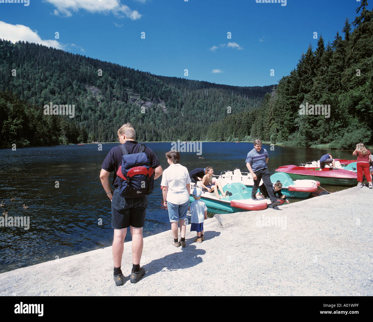 D bayerisch eisenstein nature reserve bavarian hi-res stock photography ...
