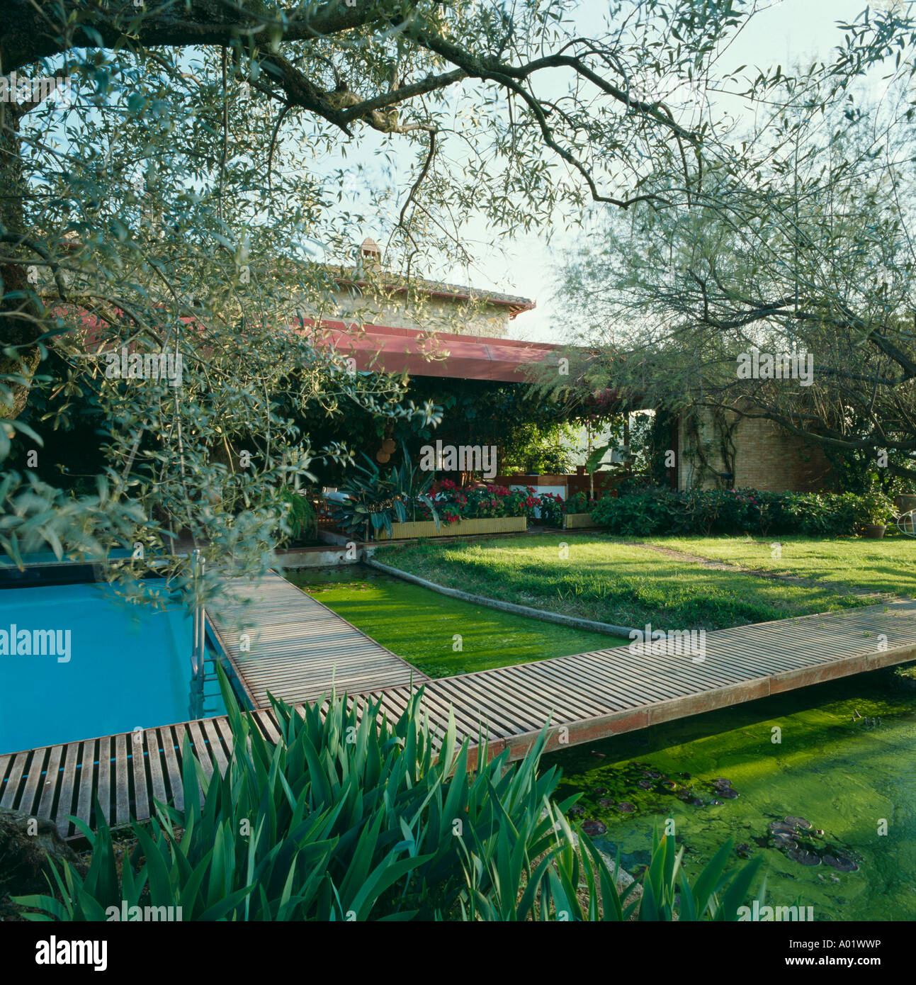 Turquoise swimming pool and decking path over canal in garden of modern ...