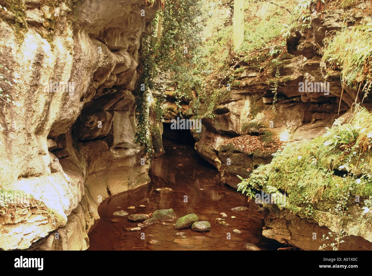 england YORKSHIRE DALES NATIONAL PARK how stean gorge nidderdale Stock ...