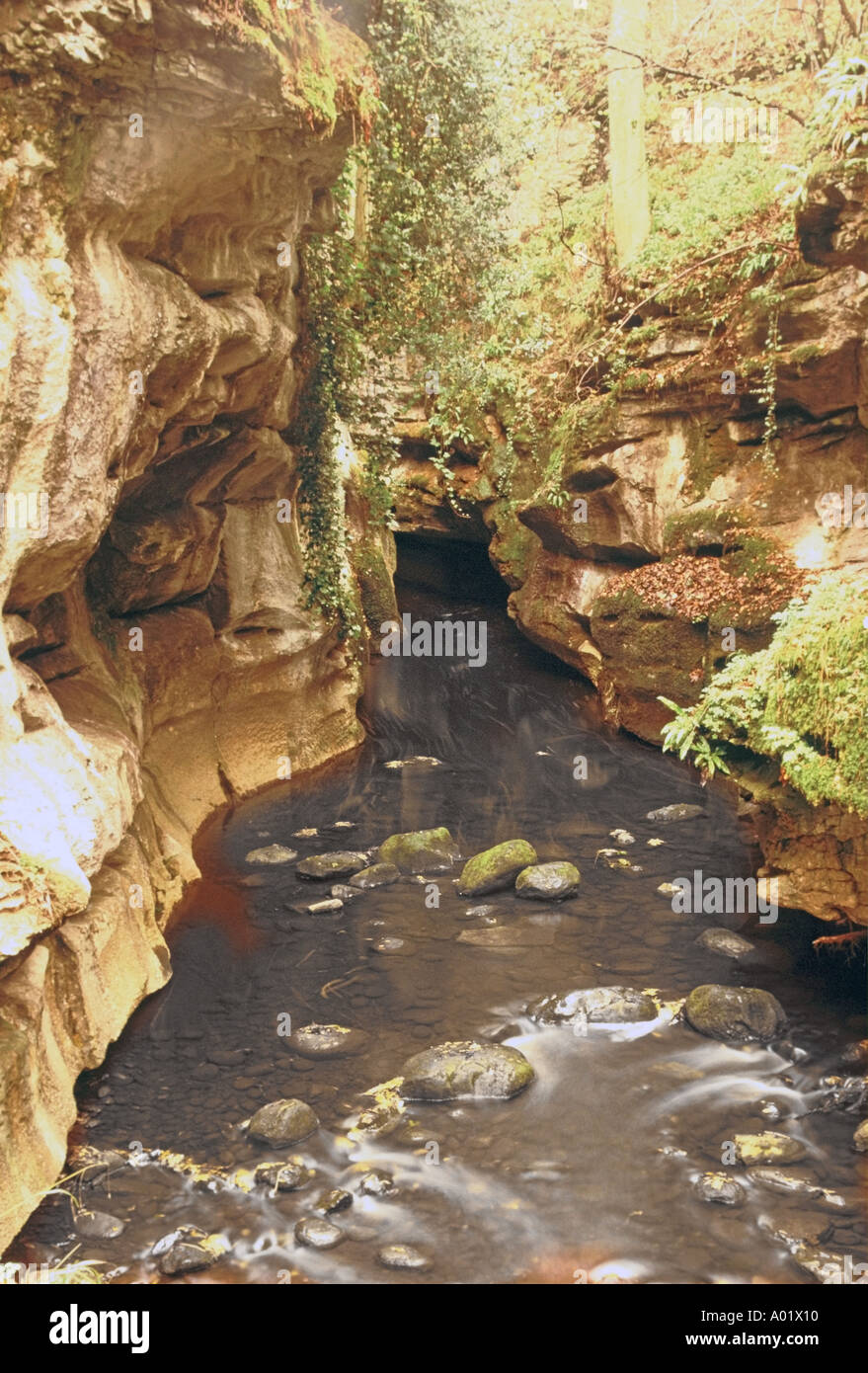 england YORKSHIRE DALES NATIONAL PARK how stean gorge nidderdale Stock ...
