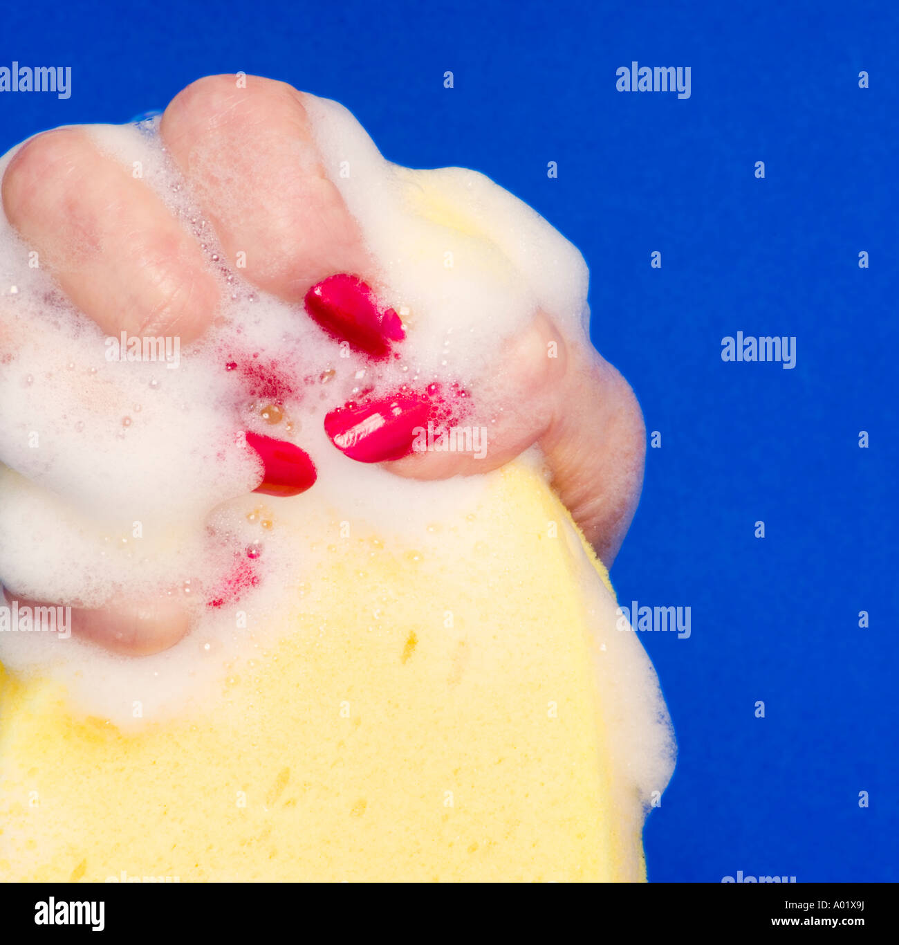 Sponge images hi-res stock photography and images - Alamy