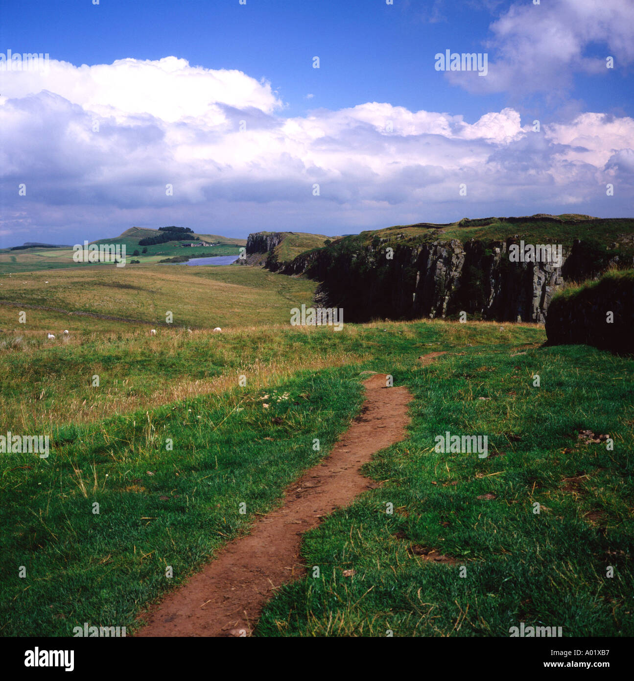 Hadrian s wall Steel Rigg England Stock Photo - Alamy
