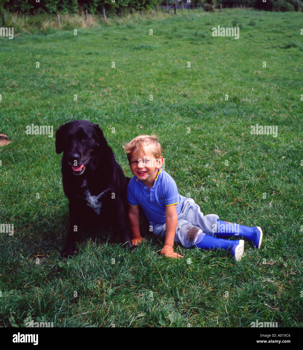 Mate field hi-res stock photography and images - Alamy