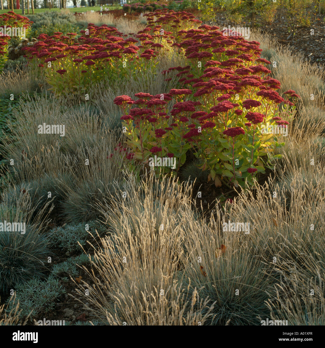 Prairie Style Border High Resolution Stock Photography and Images - Alamy