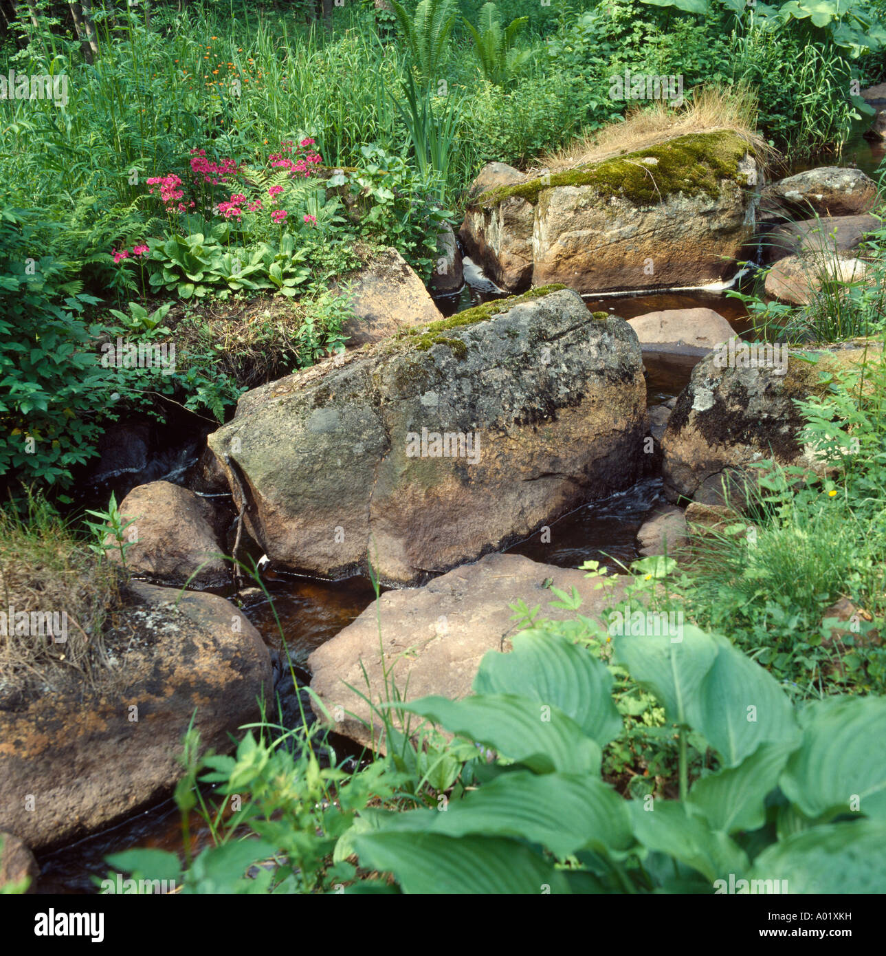Stream in garden rockery hi-res stock photography and images - Alamy