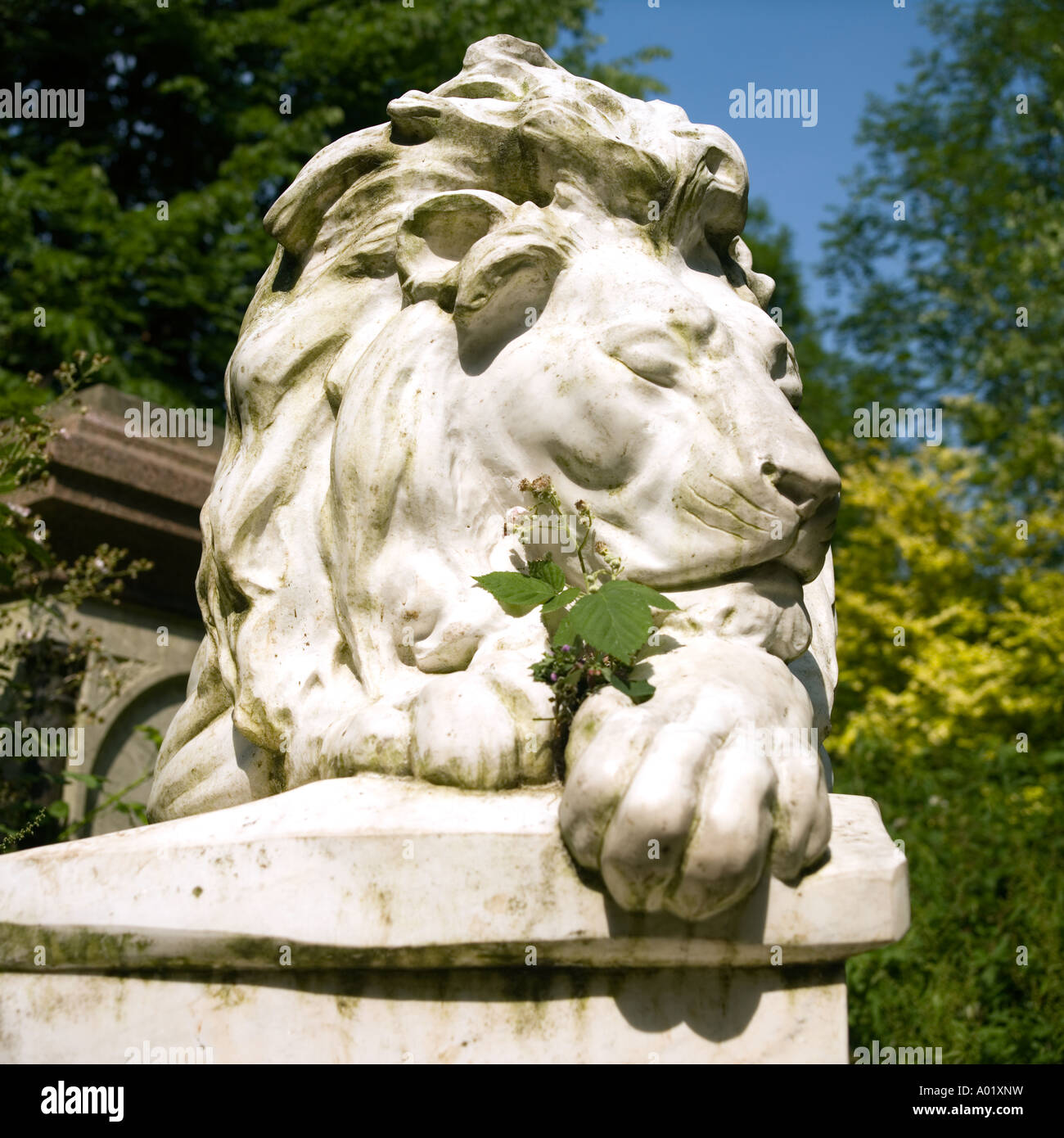 Lion tombstone Abney Park Stoke newington London England UK Stock Photo ...